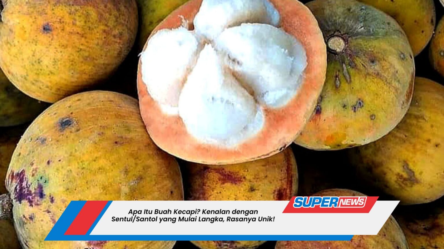Apa Itu Buah Kecapi? Kenalan dengan Sentul/Santol yang Mulai Langka ...